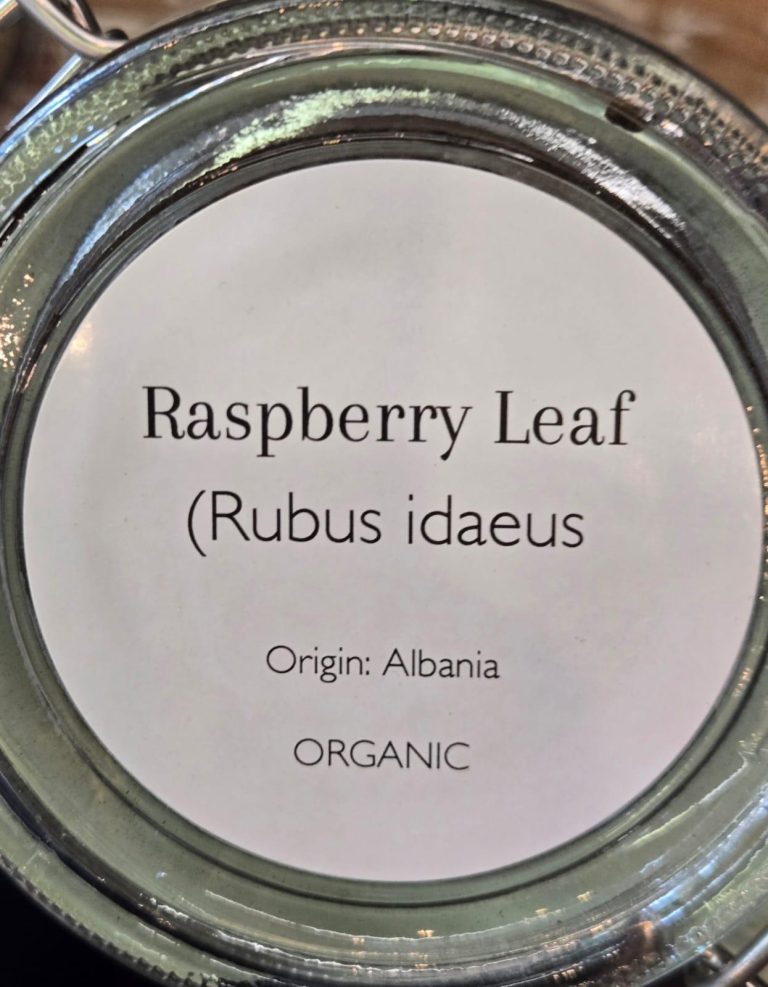 Raspberry Leaf (Rubus idaeus) - Spring To Health